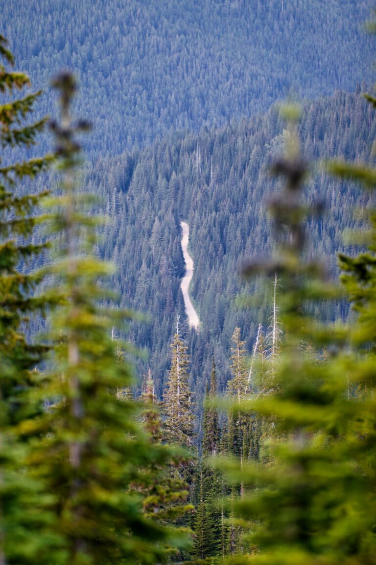 Salmon River & Middle Fork Shuttles, Idaho Rivers – Reliable Idaho ...